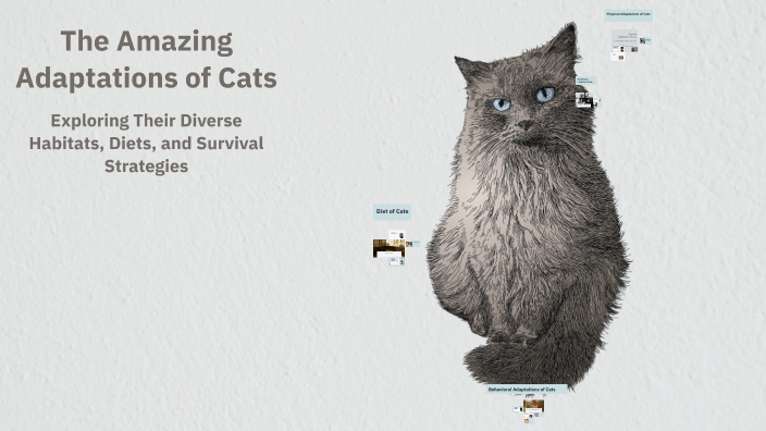 The Amazing Adaptations of Cats by Shougmalakjoury alfayez on Prezi
