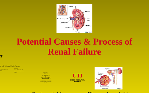 Renal Concept Maps by Julie Samms on Prezi