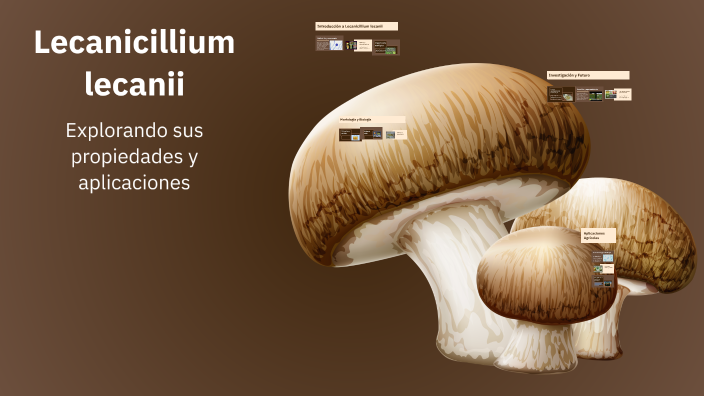 Lecanicillium lecanii by Gersson Jhovanny Cuevas Guarnizo on Prezi