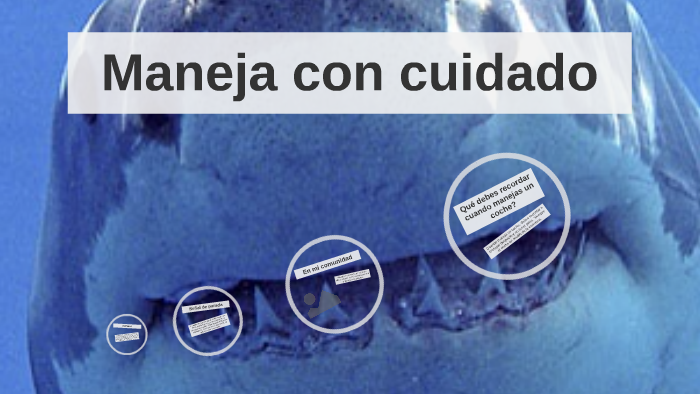 Maneja con cuidado by Lukas Gunter