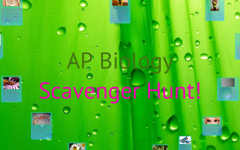 AP Biology Scavenger Hunt by Minaya Ismayilova