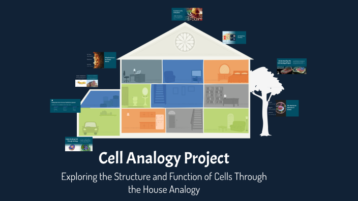 Cell Analogy Project by Екоосвіта Галич on Prezi
