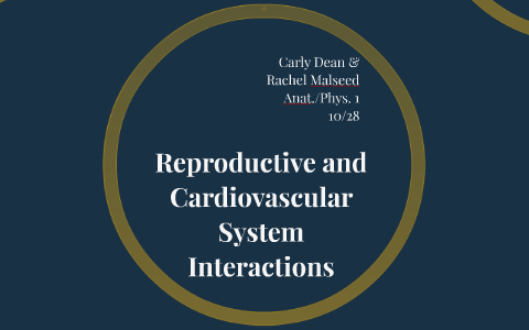 Midterm 1- Carly Dean and Rachel Malseed A/P1 10/27/14 by Carly Dean on ...