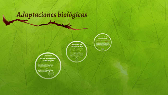 Adaptaciones biológicas by Luis Javier Dueñas Vega on Prezi