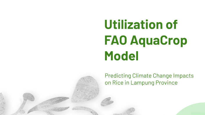 Utilization of FAO AquaCrop Model by rizki priatama on Prezi