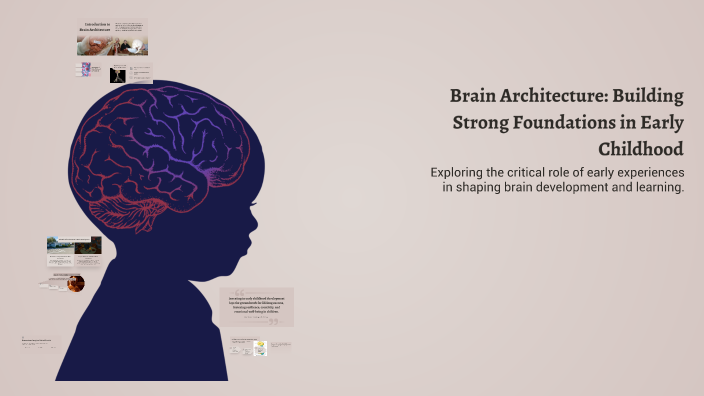 Brain Architecture: Building Strong Foundations in Early Childhood by ...