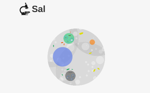 Sales by itzel salgado on Prezi