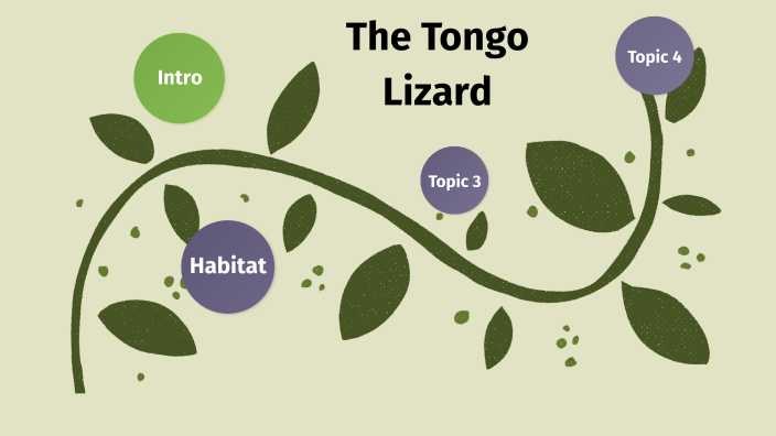 EB 6EH The Tongo Lizard by Year Six on Prezi