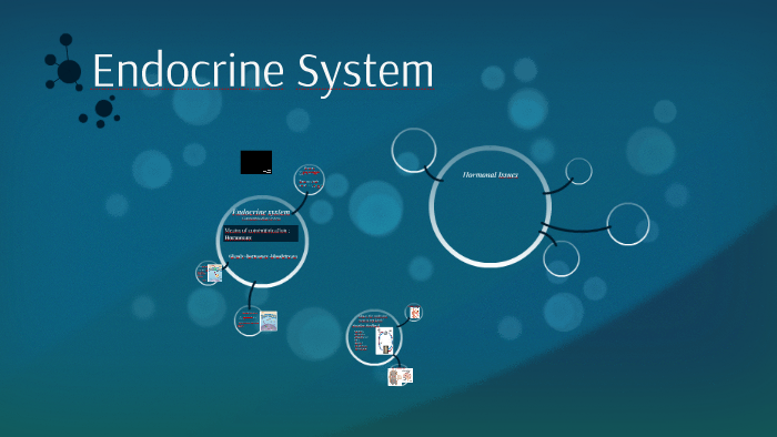 Endocrine System by Edith Lucia Lopez on Prezi