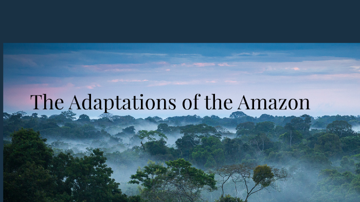 The Adaptations of the Amazon by Bianca Provenzano on Prezi