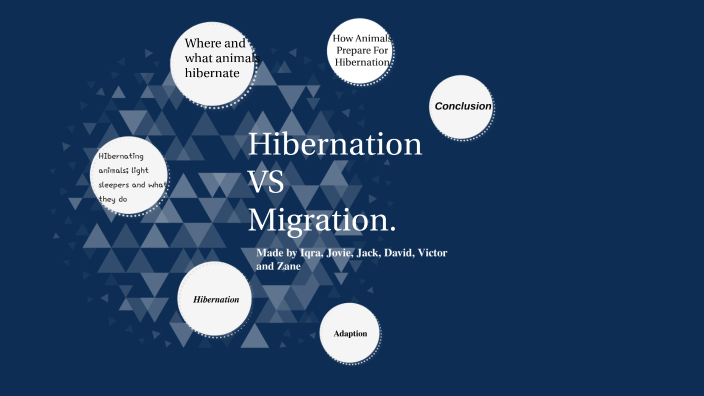 Hibernation VS Migration by Iqra Ali on Prezi