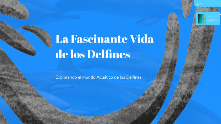 La Fascinante Vida de los Delfines by MLJ ECHEVESTE on Prezi