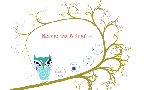 Glándula pituitaria,hipófisis o glándula maestra by derick mejia on Prezi