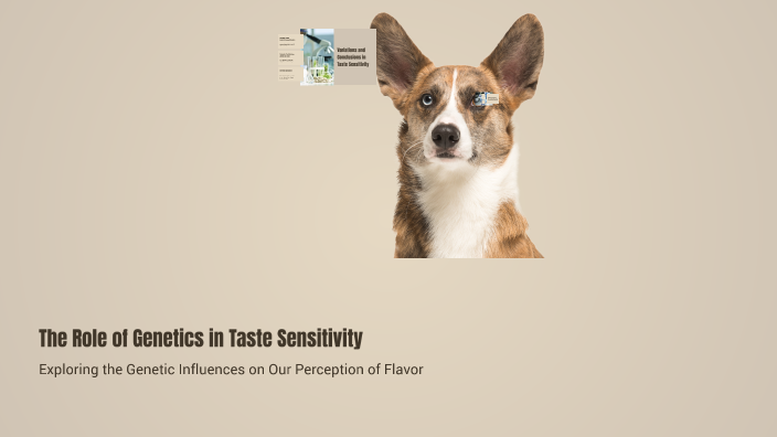 The Role of Genetics in Taste Sensitivity by Mari Mari on Prezi