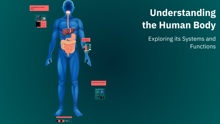 Understanding the Human Body by Checklist on Prezi
