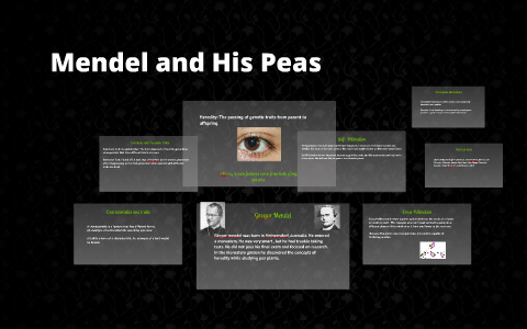 Mendel and His Peas by Alyssa Mane on Prezi