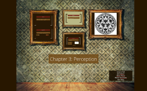 Chapter 3: Perception by jianna osawa