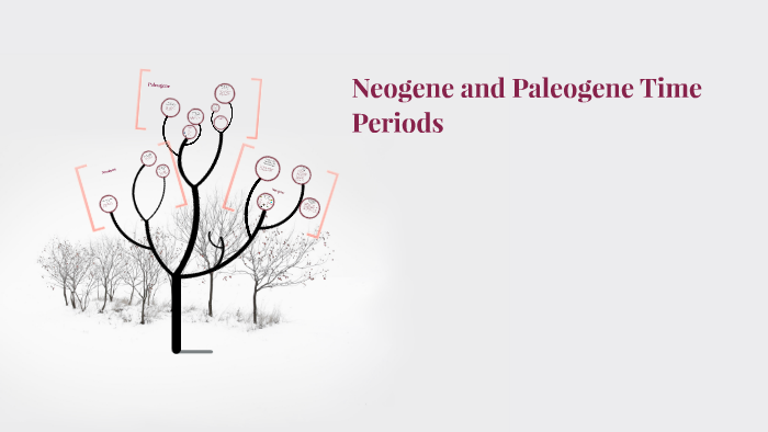 Neogene and Paleogene Time Periods by William Taylor on Prezi