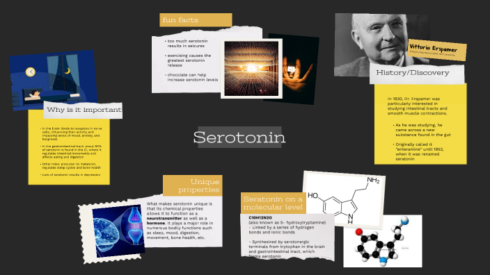 Serotonin by RAINEY MITCHELL on Prezi