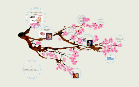The First Trimester by Tina Witte on Prezi