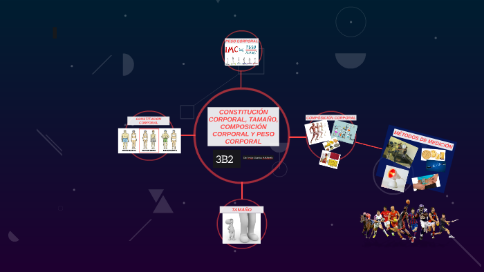 CONSTITUCIÓN CORPORAL, TAMAÑO, COMPOSICIÓN CORPORAL Y PESO C by Ariz ...