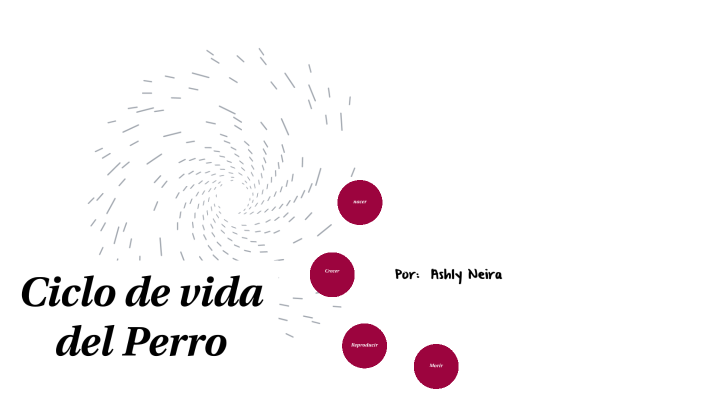 Ciclo de vida del Perro by Mary Ariza on Prezi
