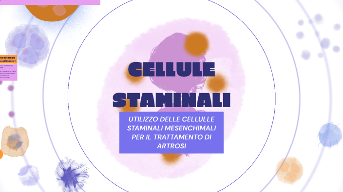 Cellule staminali embrionali per il trattamento delle artrosi by ...