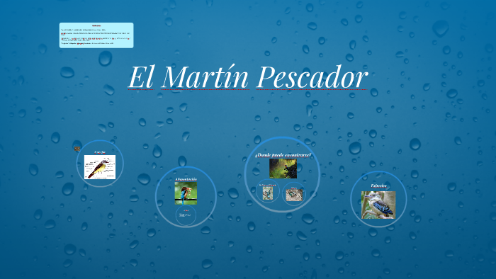 El martín pescador by Ashley Hipp on Prezi