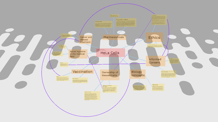 HeLa Cells Mind Map by Gabriel C on Prezi