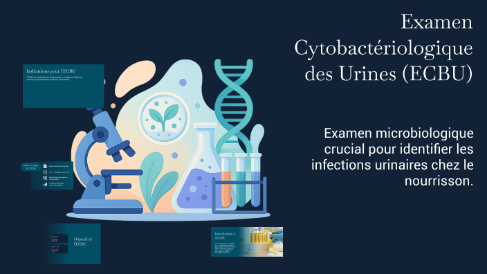 Examen Cytobactériologique des Urines (ECBU) by Ezzine Nour on Prezi