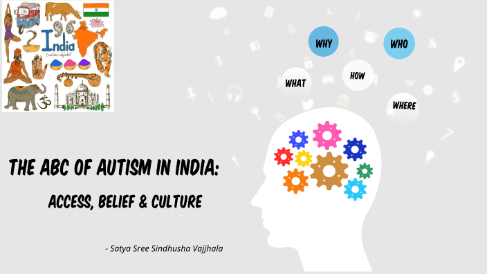 The ABC of Autism in India : Access, Belief and Culture by Sindhusha ...