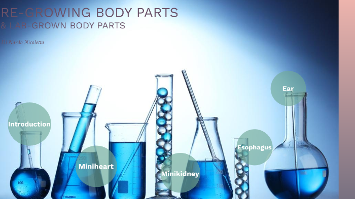 Re-growing body parts & lab-grown body parts by Nicoletta Di Nardo on Prezi