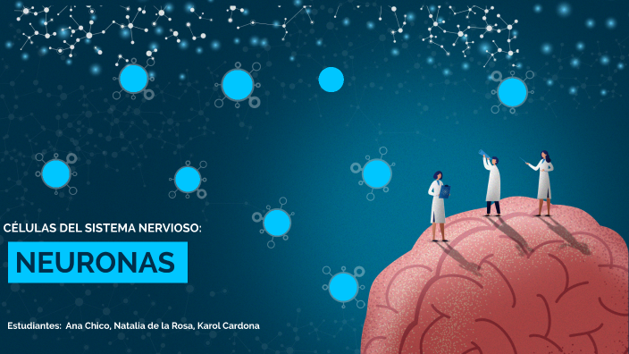 NEURONAS by Karol Mishell Cardona Guarín on Prezi