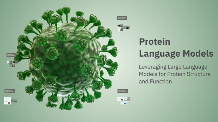 Protein Language Models by Fatima Ansarizadeh on Prezi