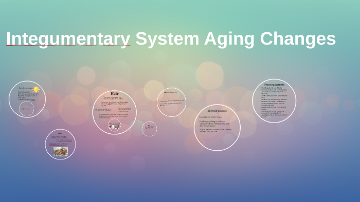 Integumentary System Aging by Leah Lane on Prezi