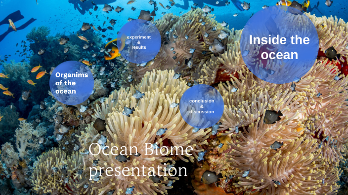 Ocean Biome Presentation. by Sabrina Ray on Prezi