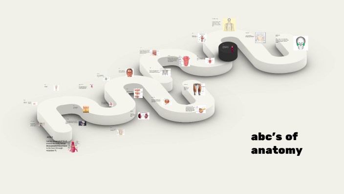 ABCs of anatomy by Kaidan Spearing on Prezi