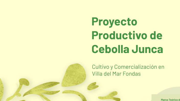 Proyecto Productivo de Cebolla Junca by Danna Melenje on Prezi