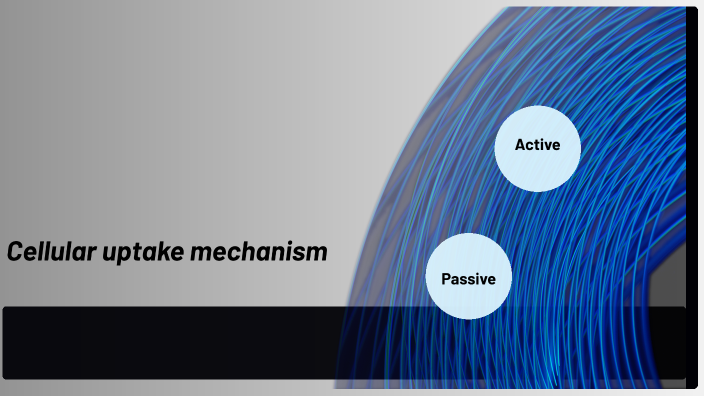 cellular uptake mechanism by ma ram on Prezi