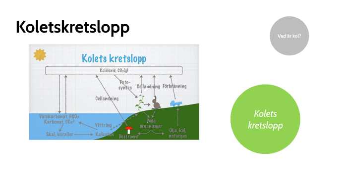 Koletskretslopp by Amelia Andersson on Prezi