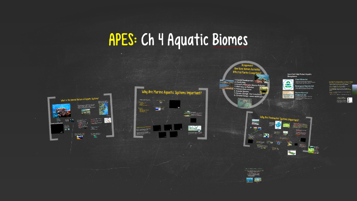 APES Ch 4: Aquatic Biodiversity by Valerie Head on Prezi