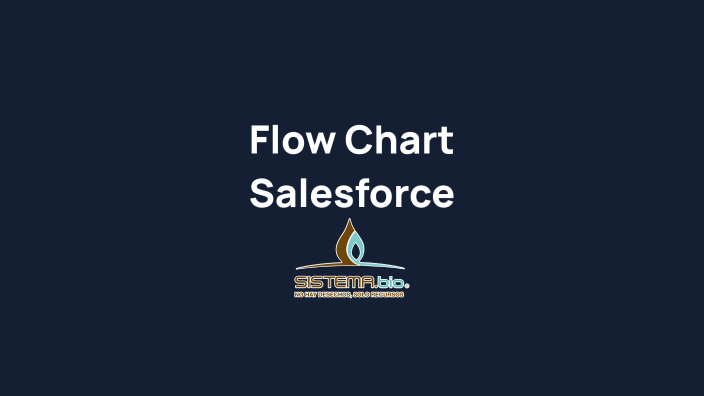 Flow Chart Salesforce by Gabino Ortiz on Prezi