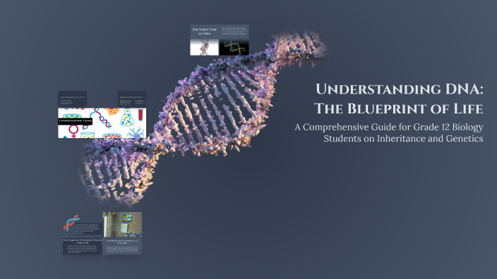 Understanding DNA: The Blueprint of Life by AYANFEOLUWA AKINTEYE on Prezi
