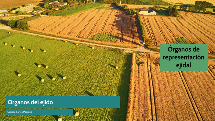 Organos del ejido by gerardo cortes on Prezi