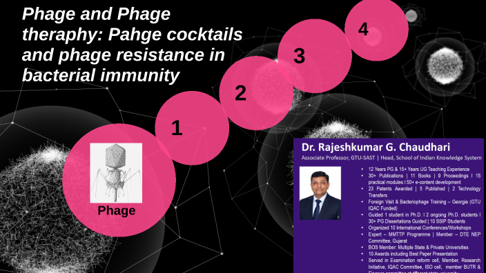 Phage and Phage theraphy: Pahge cocktails and phage resistance in ...
