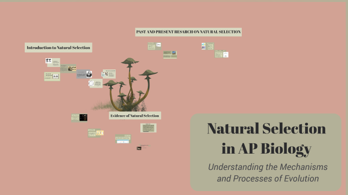 Natural Selection in AP Biology by Christopher Orozco on Prezi