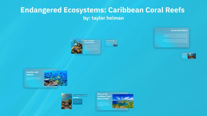 Endangered Ecosystems: Caribbean Coral Reefs by Taylor Heiman on Prezi