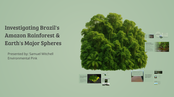 deforestation sam m by sam mitchell on Prezi