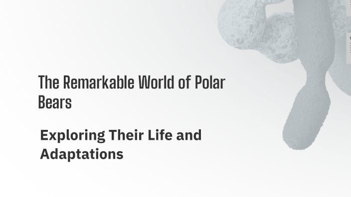 The Remarkable World of Polar Bears by Manuel Pizana on Prezi