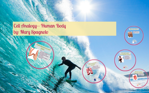 Cell Analogy-- Human Body by Mary Spagnolo on Prezi